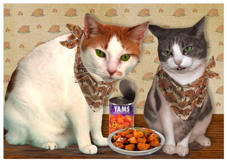 Thanksgiving Cat Photo Card: Yam Scam - Etsy