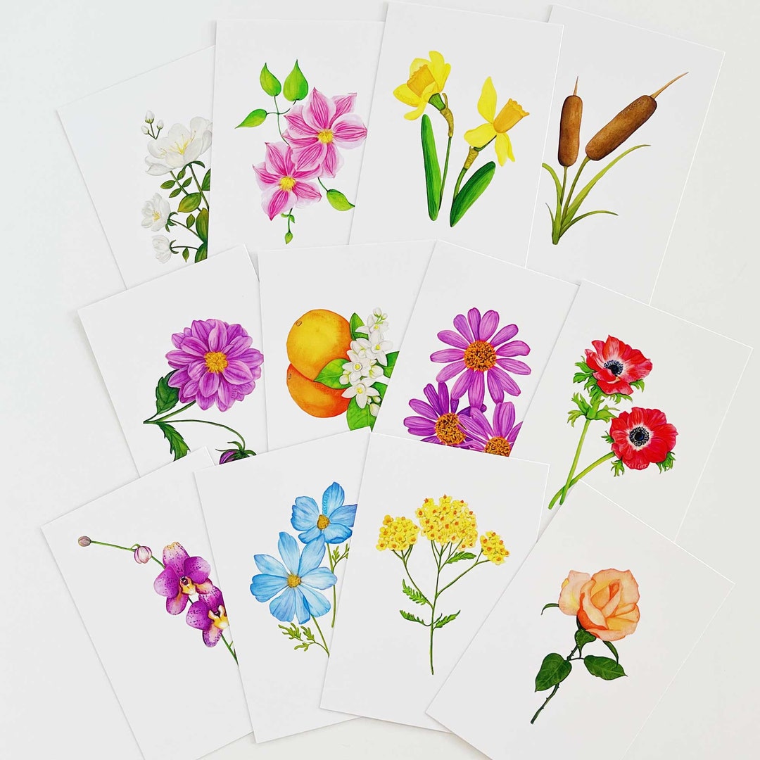 Set of 12 Postcards Funny Floral Postcard Set Flower - Etsy