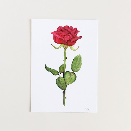 Red Rose Flower Art Print Botanical Art Print Flower Wall | Etsy
