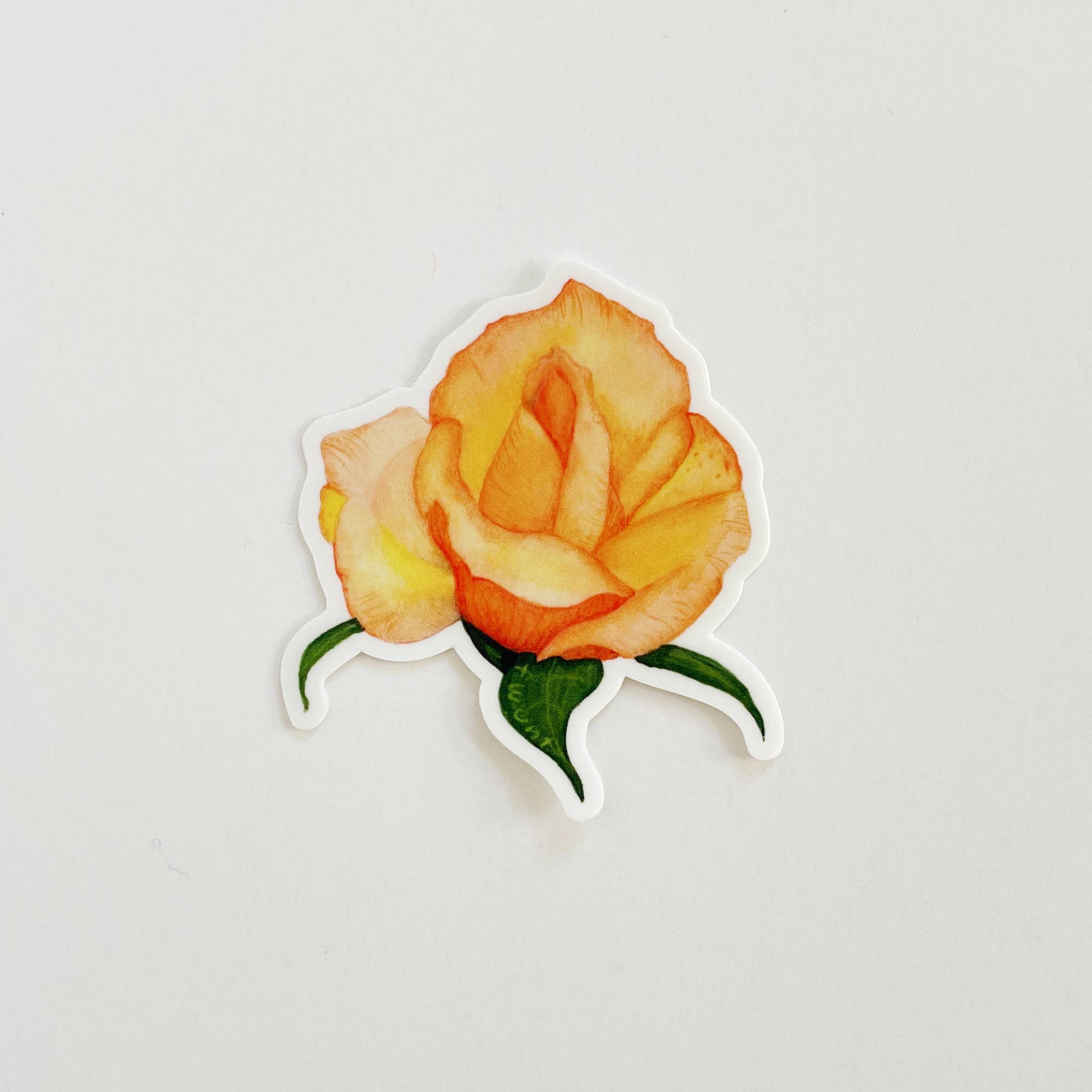 Blush Rose Vinyl Sticker Watercolor Flower Stickers Funny - Etsy