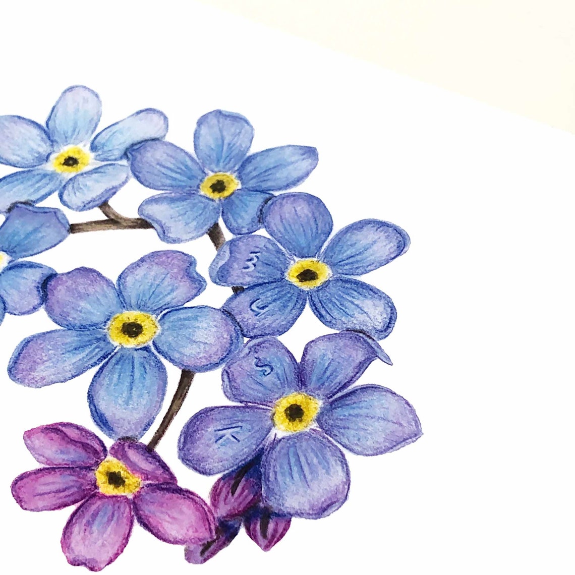 Forget-me-not Art Print Botanical Art Print Funny Art | Etsy