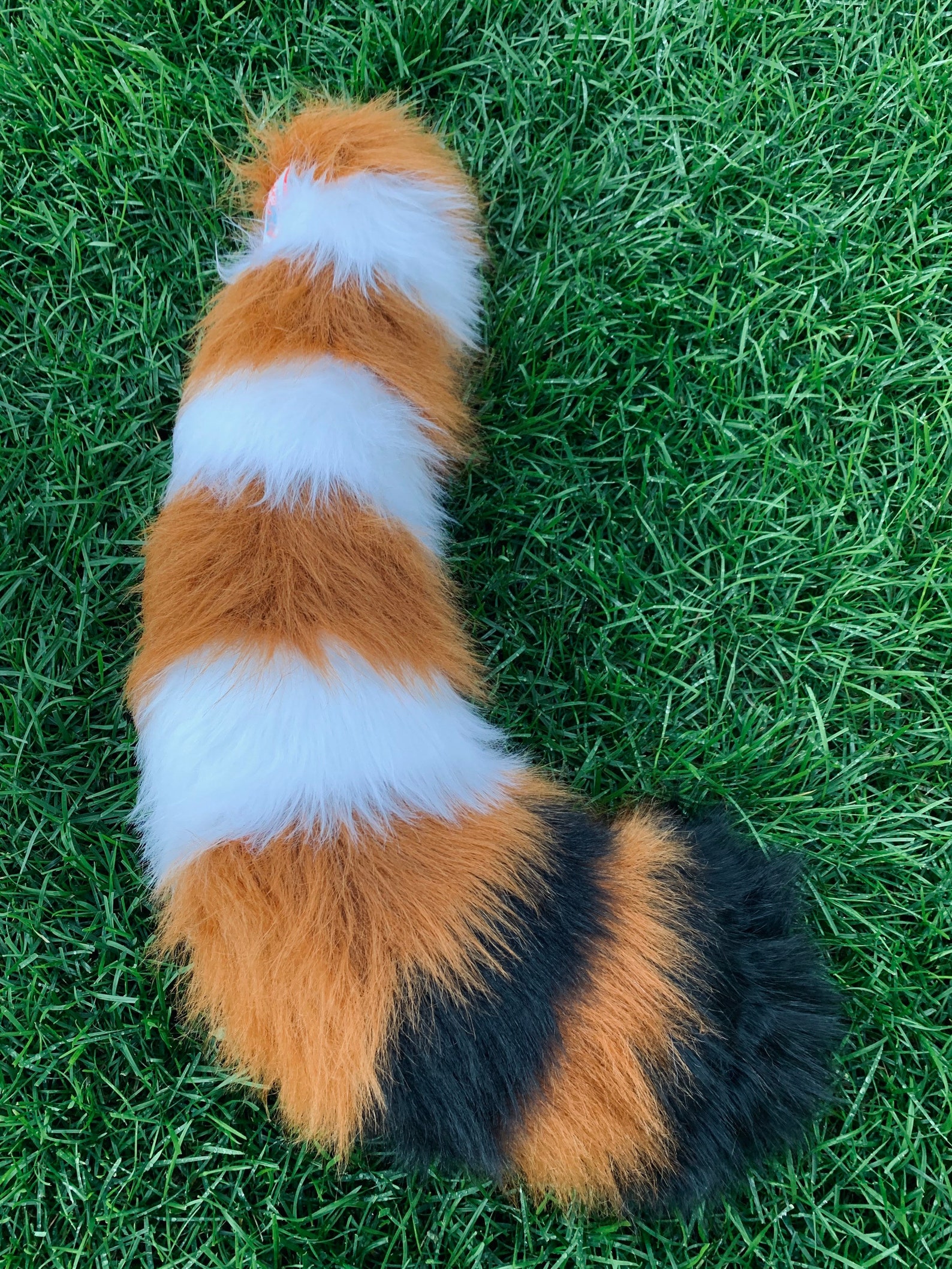 Curvy Red Panda Fursuit Tail Curved Striped Furry Tail Red Etsy Hong Kong curvy-red-panda-fursuit-tail-curved-striped-furry-tail-red-etsy-hong-kong