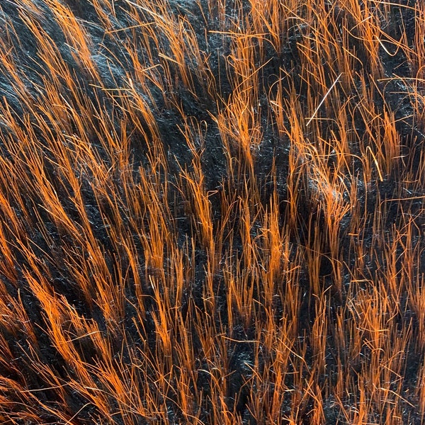 Orange Fur - Etsy