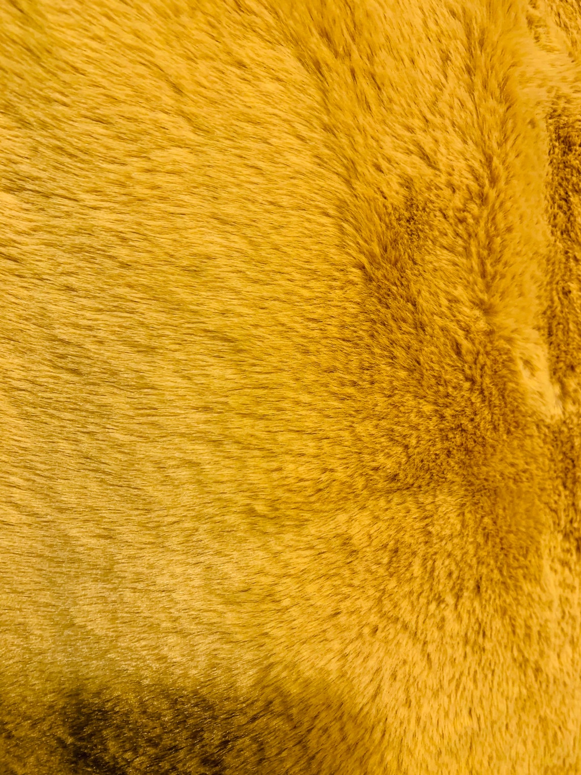 Gold Bunny Short Pile Faux Fur. Limited Run Short Pile Furs - Etsy