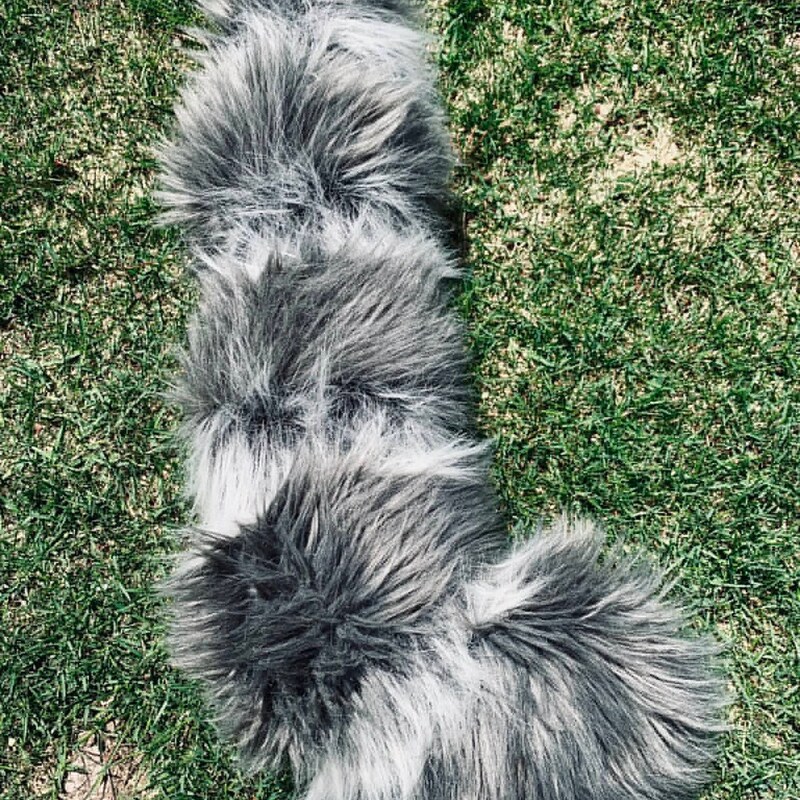 Fluffy Tail Costume - Etsy