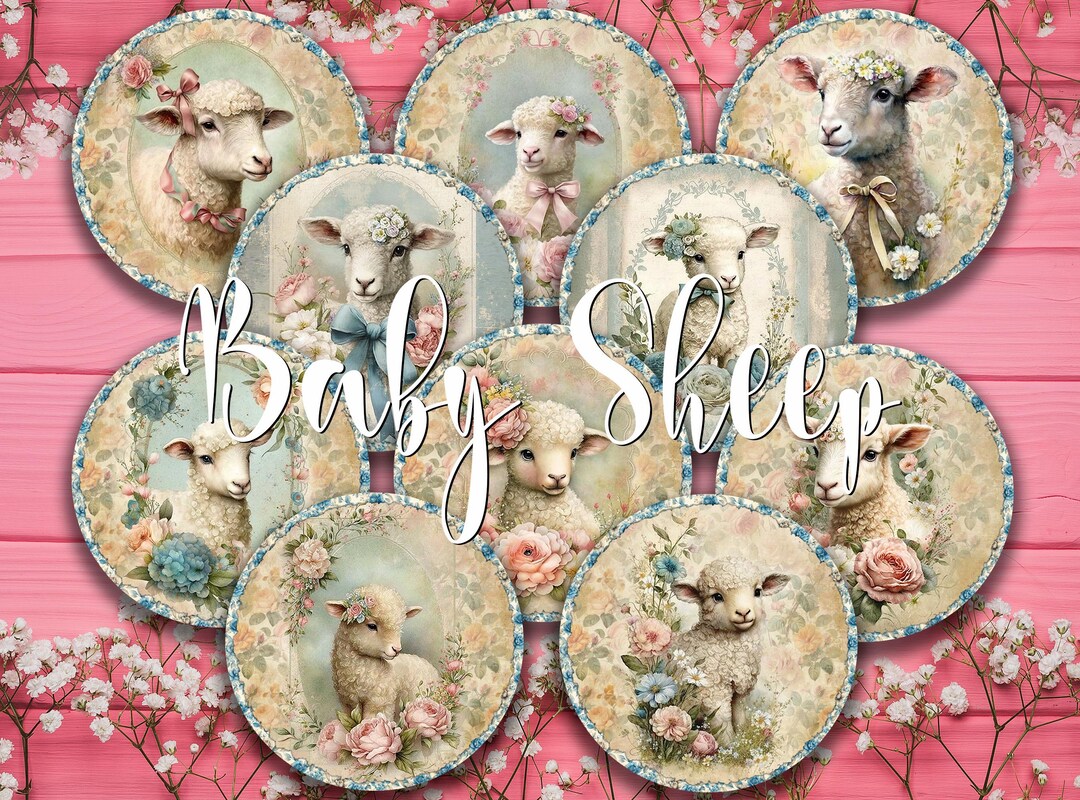 10 Baby Sheep Round Images PNG & 2 Digital Printable Easter Lamb Junk ...