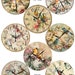 18 Vintage Bird Clock Face - Digital Printable Shabby Chic Victorian ...