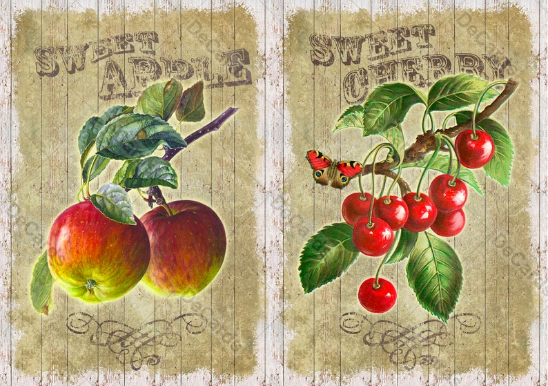 21 FREE Digital Printable Paper fruits Art A4 - Etsy
