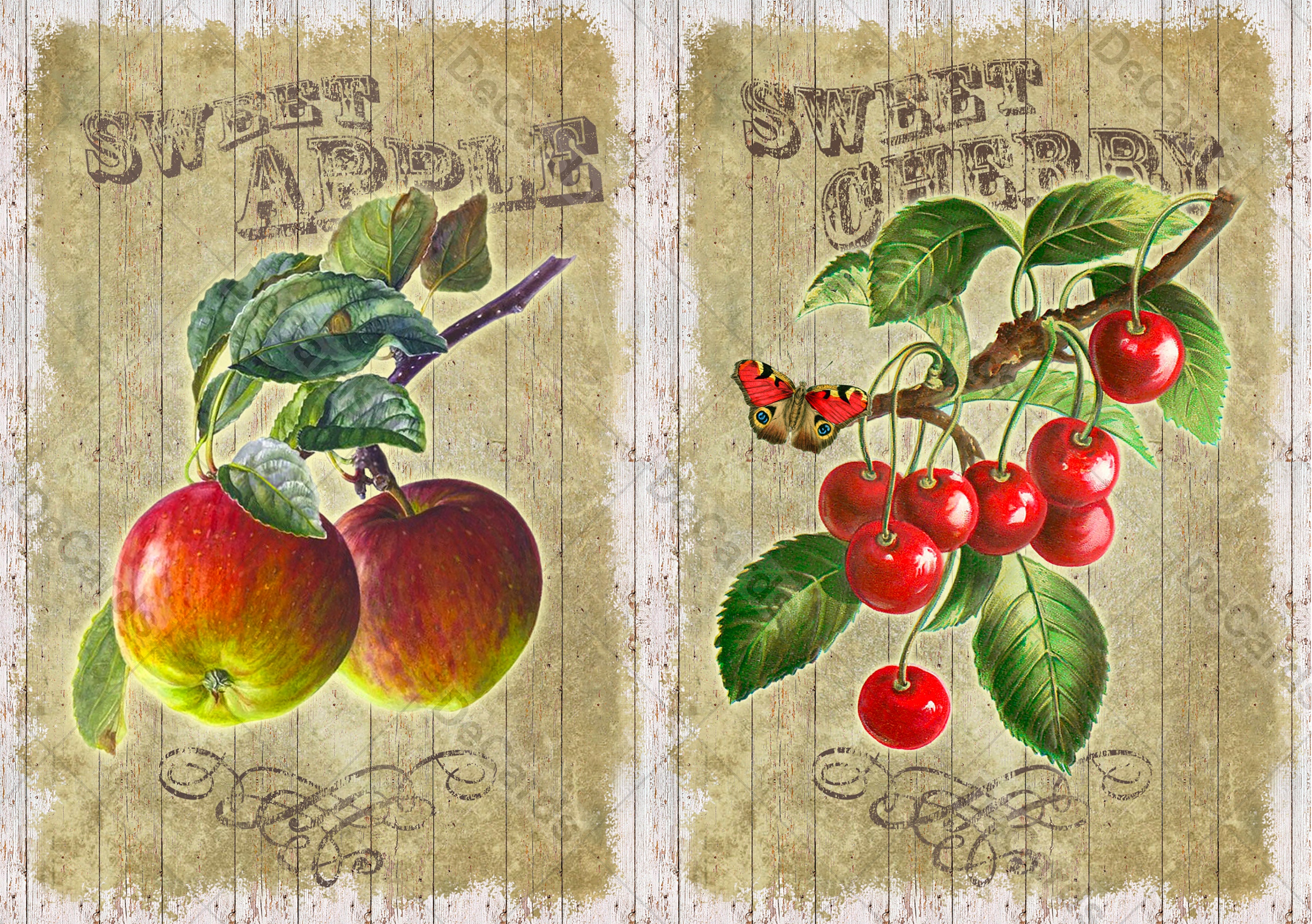 21 FREE Digital Printable Paper fruits Art A4 - Etsy
