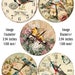 18 Vintage Bird Clock Face - Digital Printable Shabby Chic Victorian ...