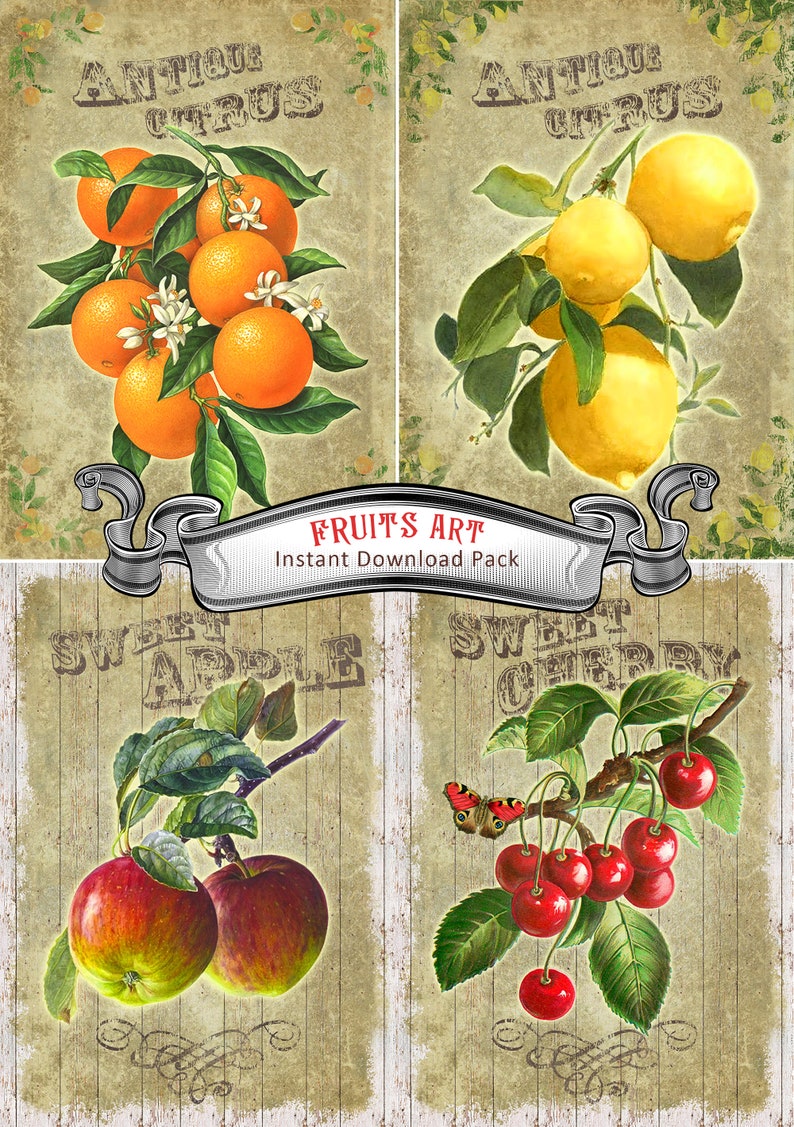 21 FREE Digital Printable Paper fruits Art A4 - Etsy