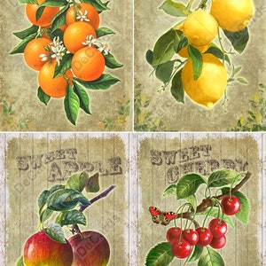 2+1 FREE Digital Printable Paper "fruits Art" A4 Sheet Set - 8 High ...