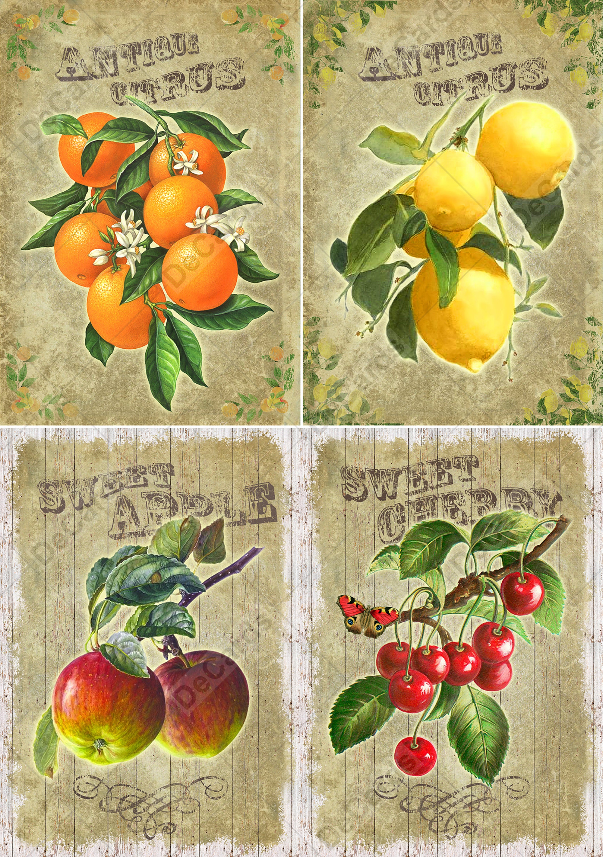 21 FREE Digital Printable Paper fruits Art A4 Sheet Set 8 High ...