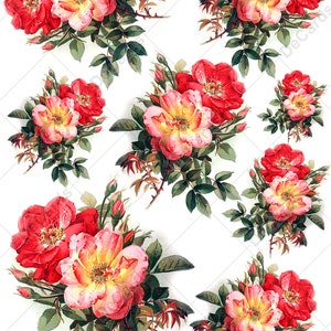 3 Digital Paper Printable Flower Art A4 Sheet Set - 42 Various Sizes ...