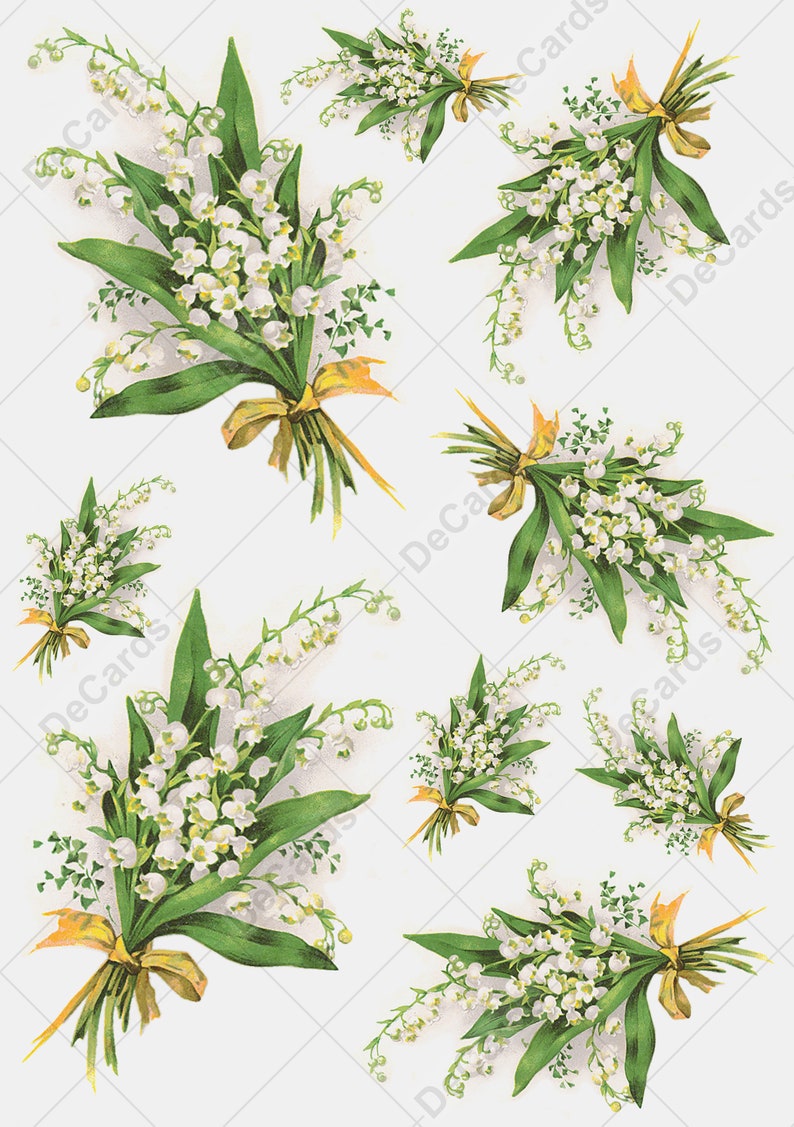 2 Digital Paper Printable spring Flowers A4 Sheet Set 21 Various Sizes ...