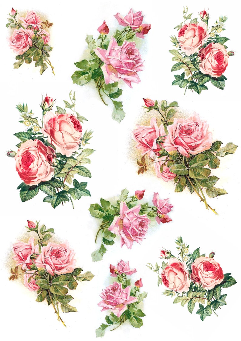 Vintage Shabby Roses Printable Sheets 18 Victorian Floral - Etsy