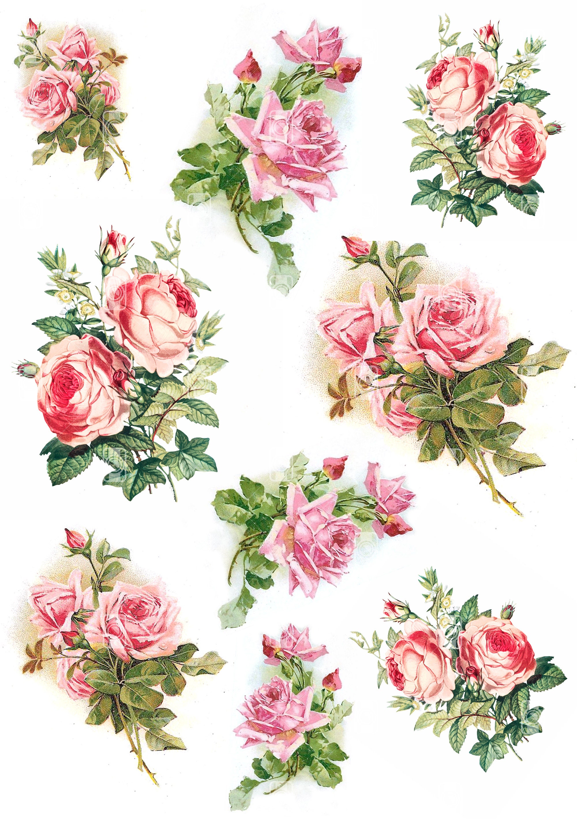 Vintage Shabby Roses Printable Sheets 18 Victorian Floral - Etsy