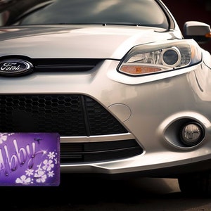 License Plate Airbrushed Floral Colorful Tropical Flower Car Tag Orange ...