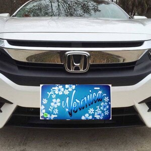 License Plate Airbrushed Floral Colorful Tropical Flower Car Tag Orange ...