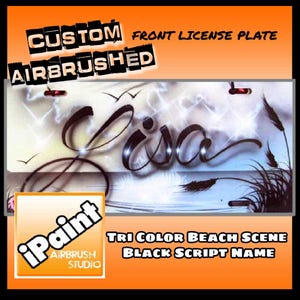 Custom Airbrushed License Plate: Beach Scene Car Accessory - Etsy