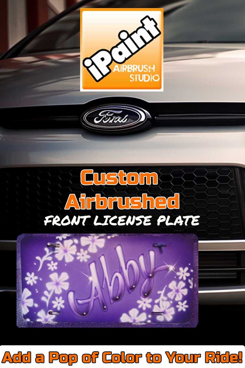 Custom Airbrushed Cartoon Bird License Plate: Personalized Name Tag - Etsy