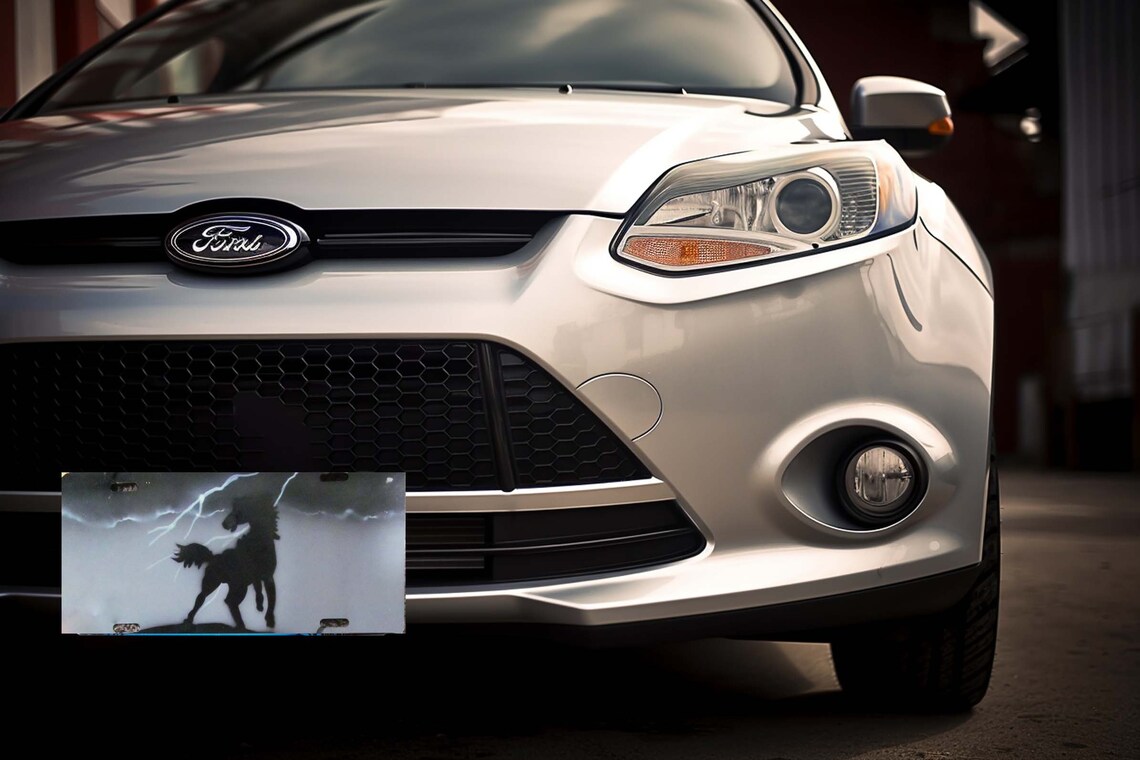 Airbrush License Plate Horse Grey Front License Plate Truck - Etsy