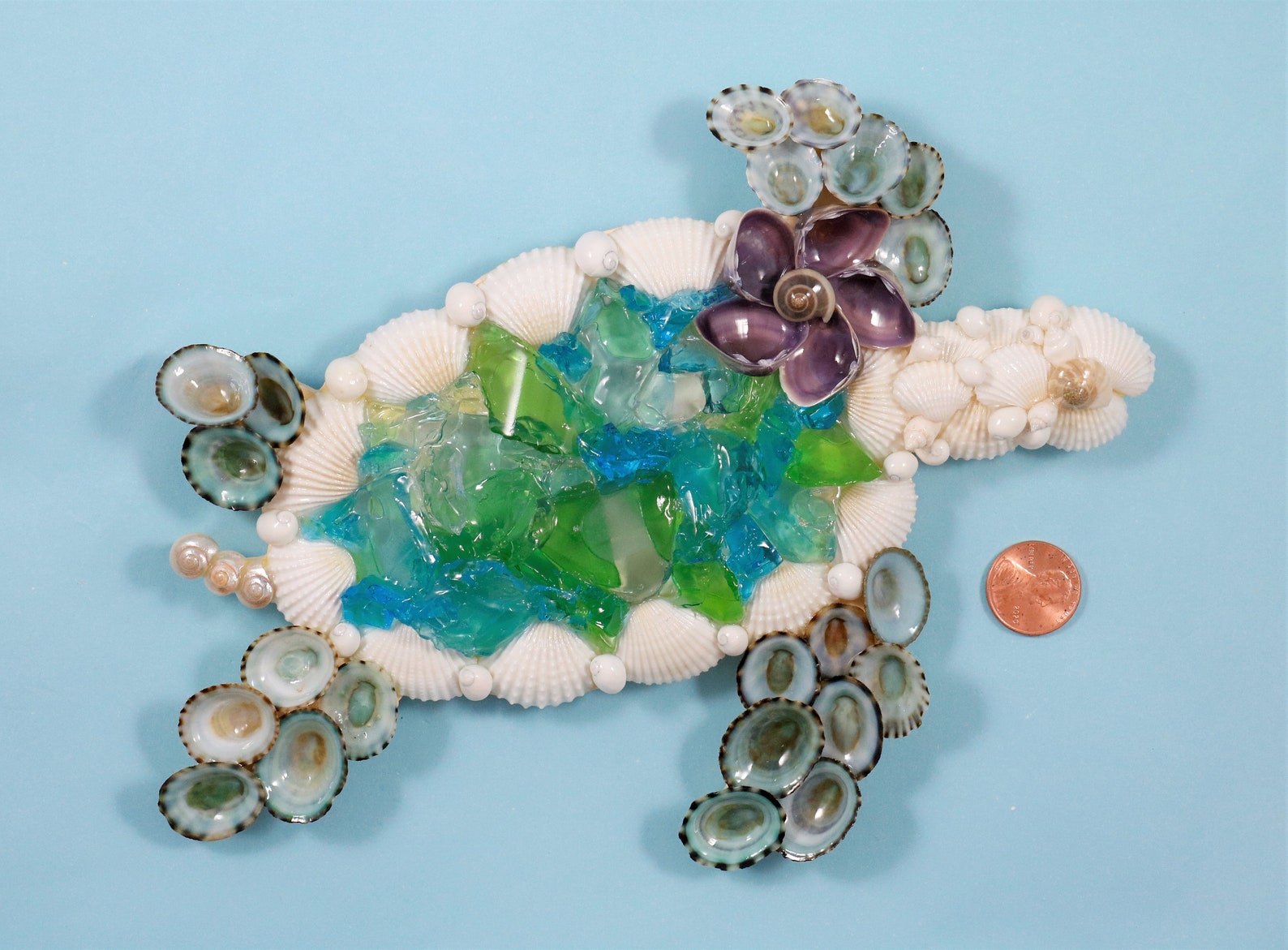 Sea Turtle Wall Hanging Sea Turtle Shell Art Beach Decor - Etsy