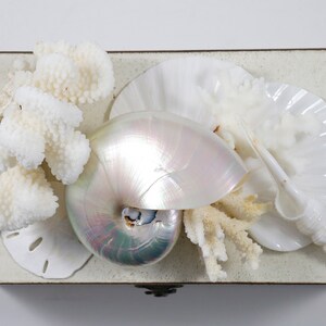 Beach Decor, Seashell Box, Mermaid Gift, Coastal Decor, Tropical Decor ...