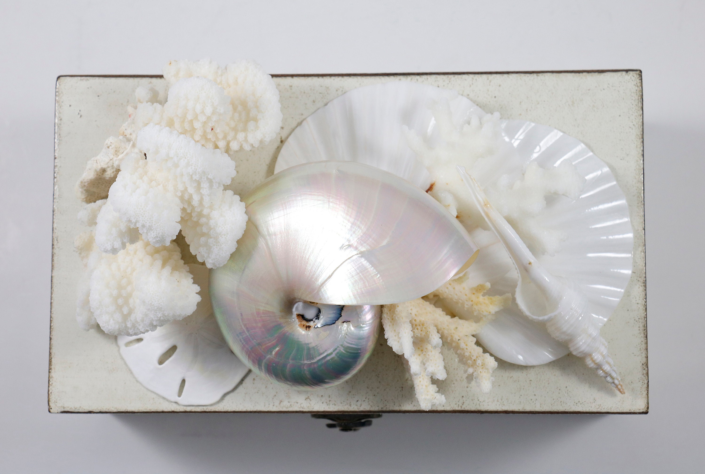 Beach Decor Seashell Box Mermaid Gift Coastal Decor | Etsy