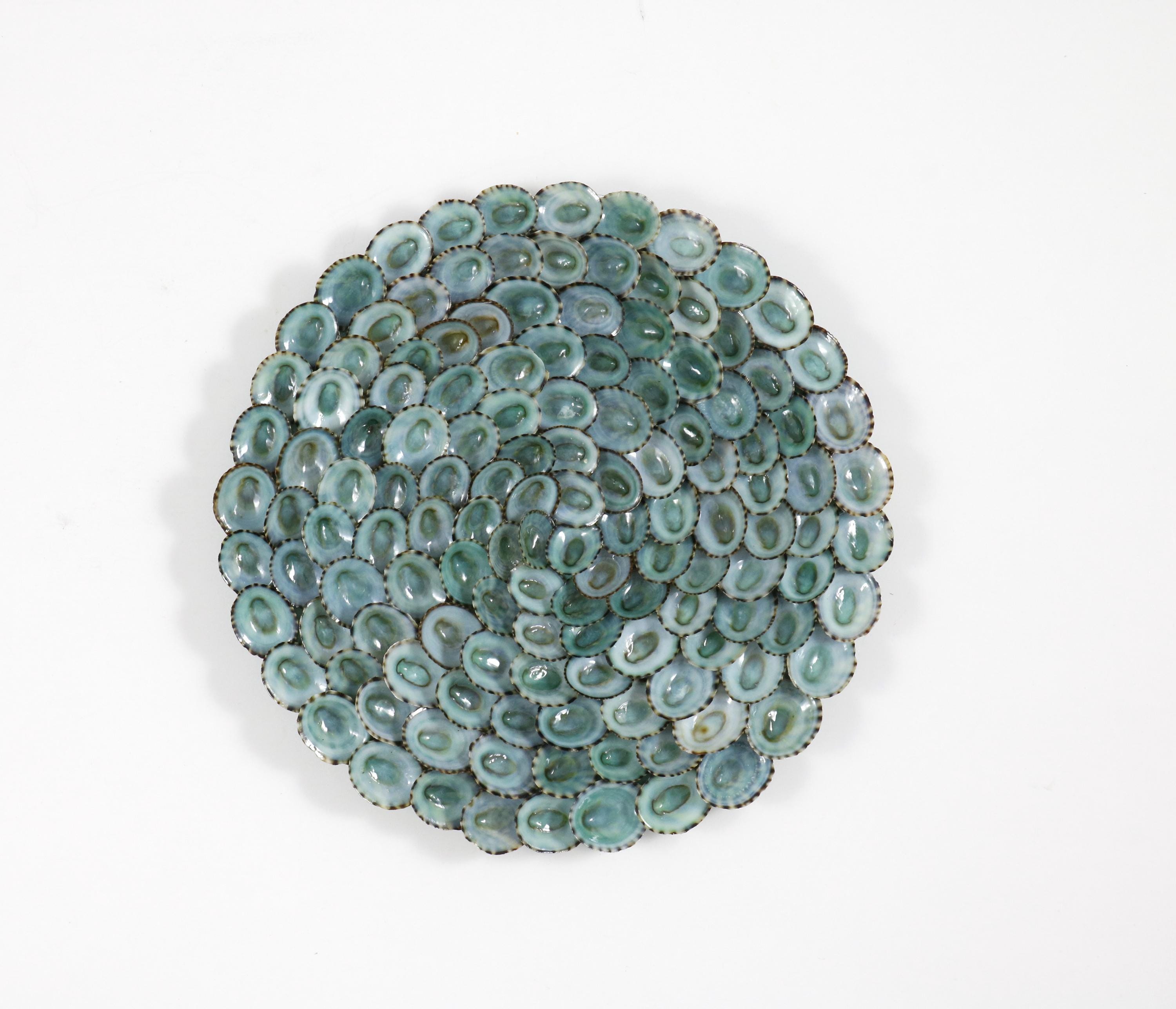 Aqua Seashell Round Wall Hangings, Mermaid Decor, Beach Wall Art, Blue ...