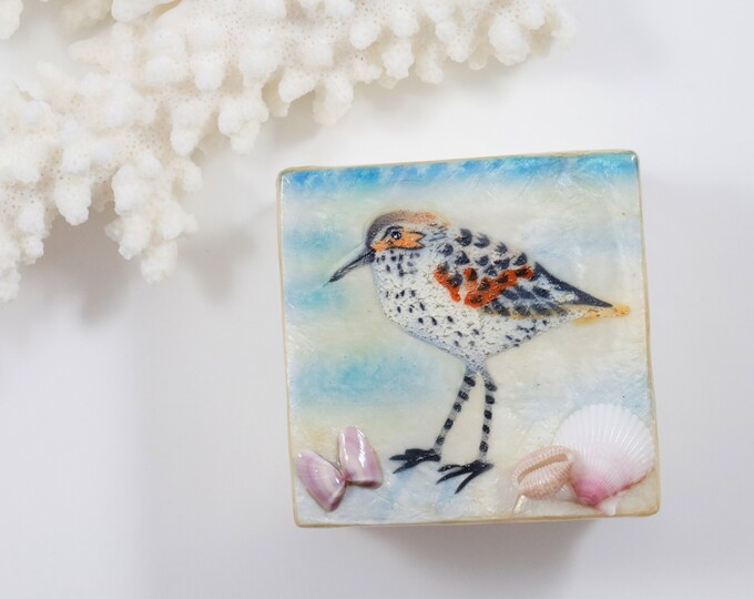 Bird Box, Seashell Box, Capiz Shell Box, Beach Decor, Tropical Decor ...