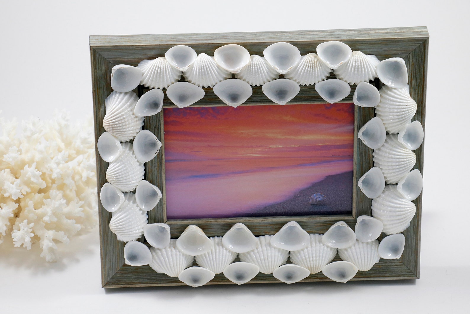 Seashell Photo Frame White Shell Picture Frame - Etsy