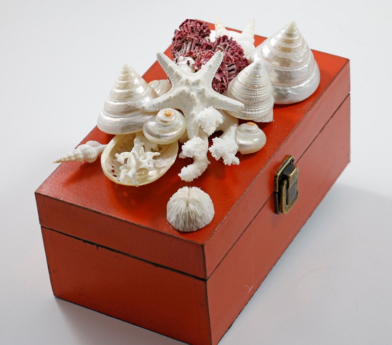 Beach Decor Seashell Box Mermaid Box Coastal Decor - Etsy