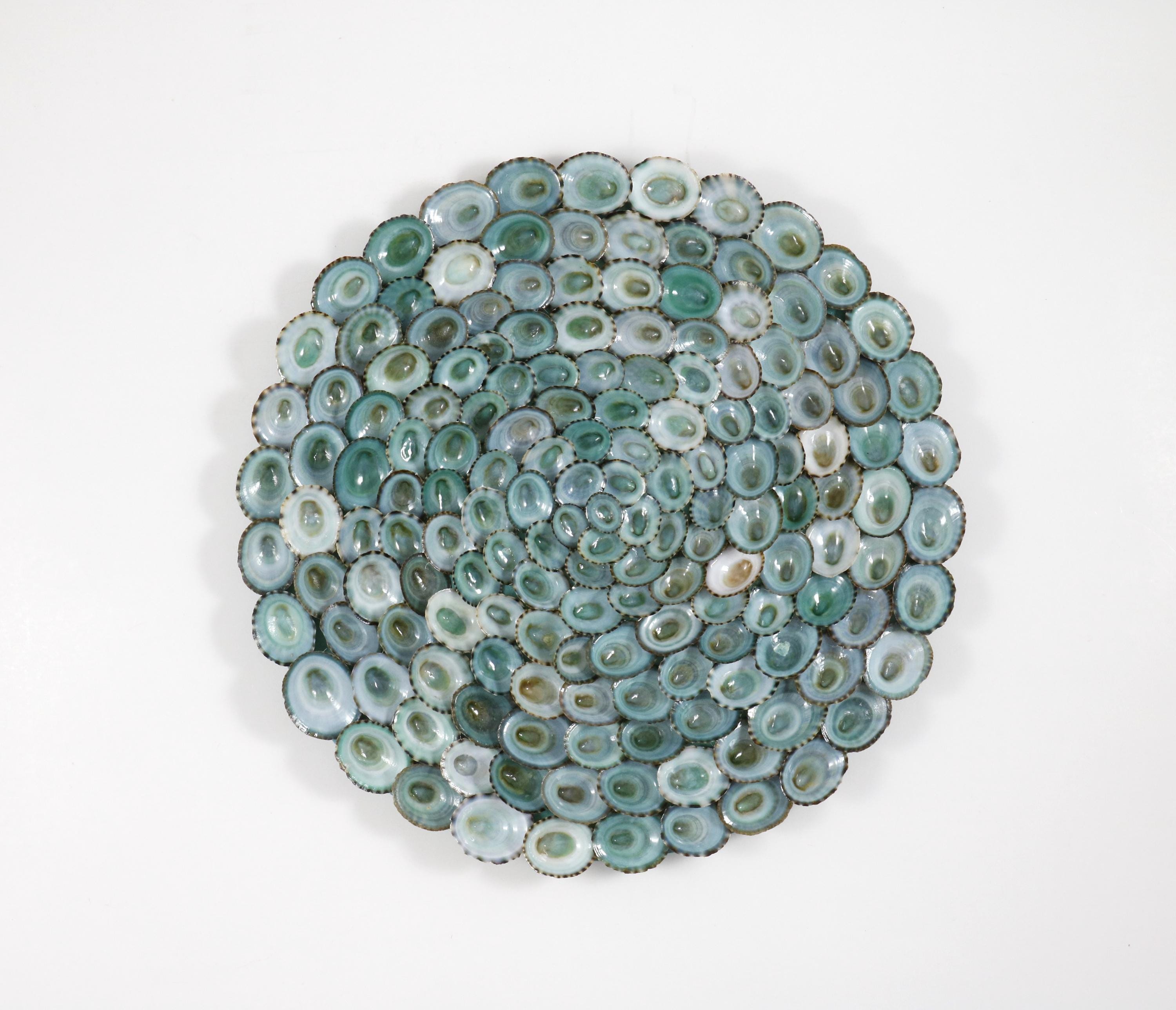Aqua Seashell Round Wall Hangings, Mermaid Decor, Beach Wall Art, Blue ...