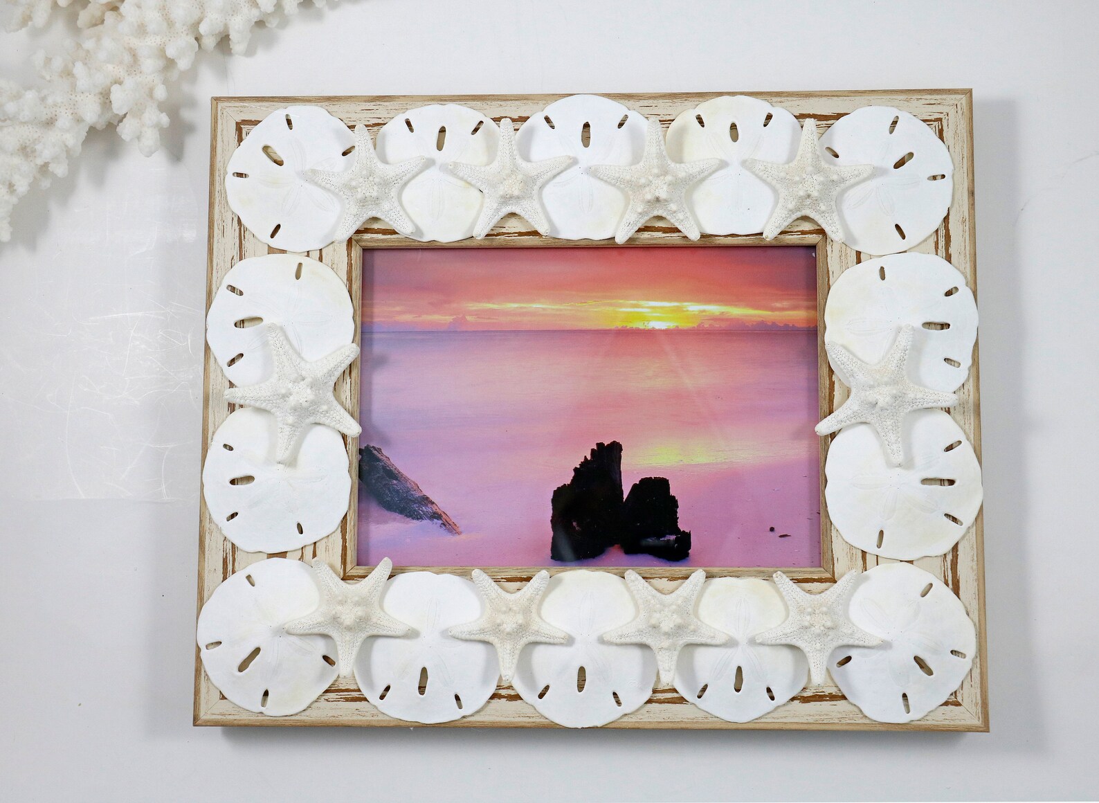 Sand Dollar Photo Frame Starfish Picture Frame - Etsy