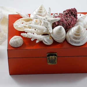 Beach Decor, Seashell Box, Mermaid Box, Coastal Decor, Tropical Decor ...