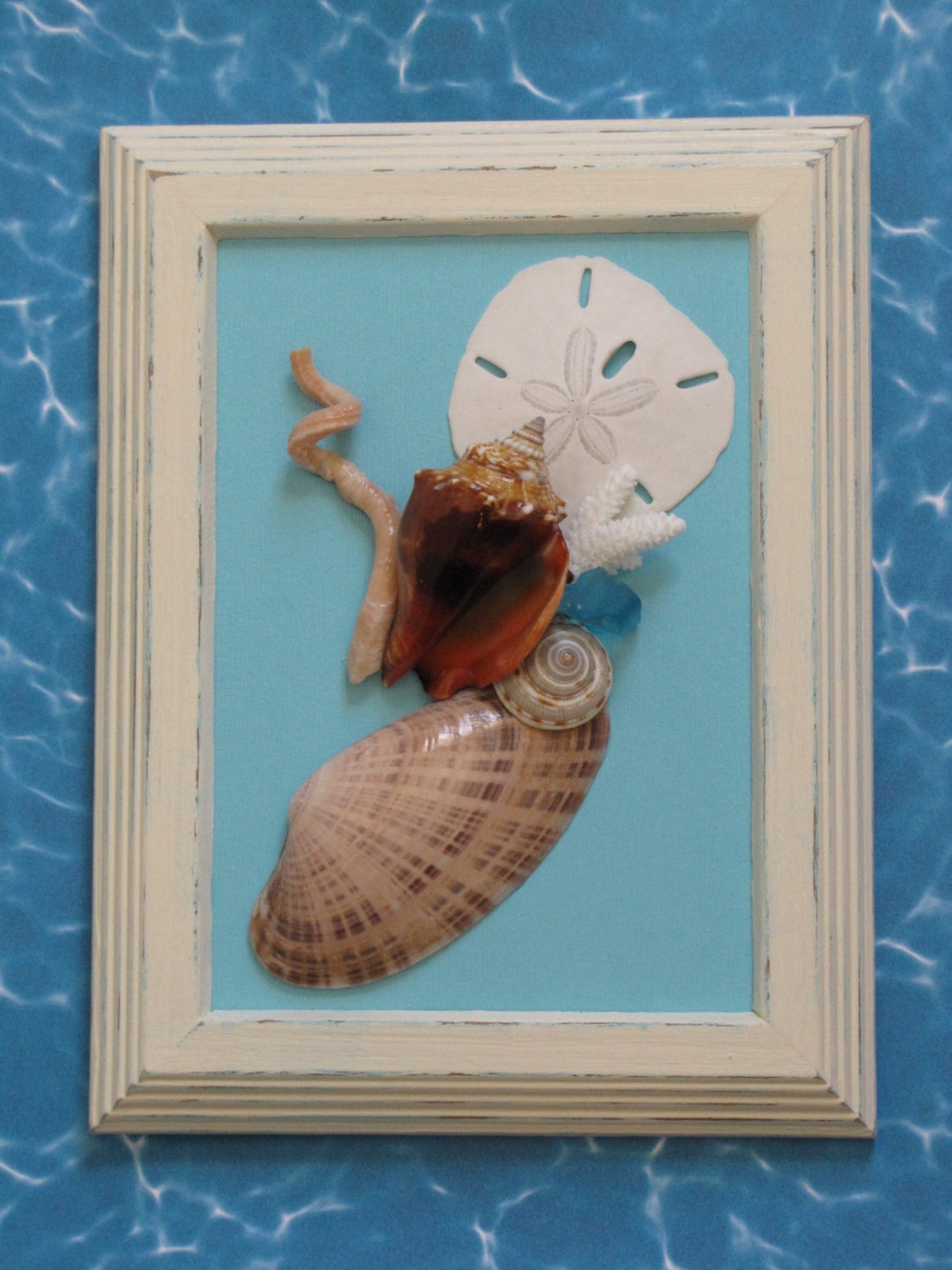 Seashell Wall Decor, Beach Wall Art, Tropical Decor, Shell Wall Hanging ...