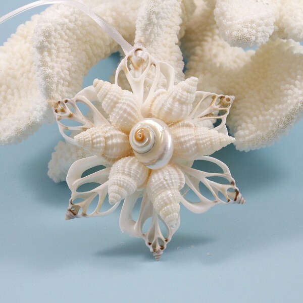 Seashell Ornaments - Etsy