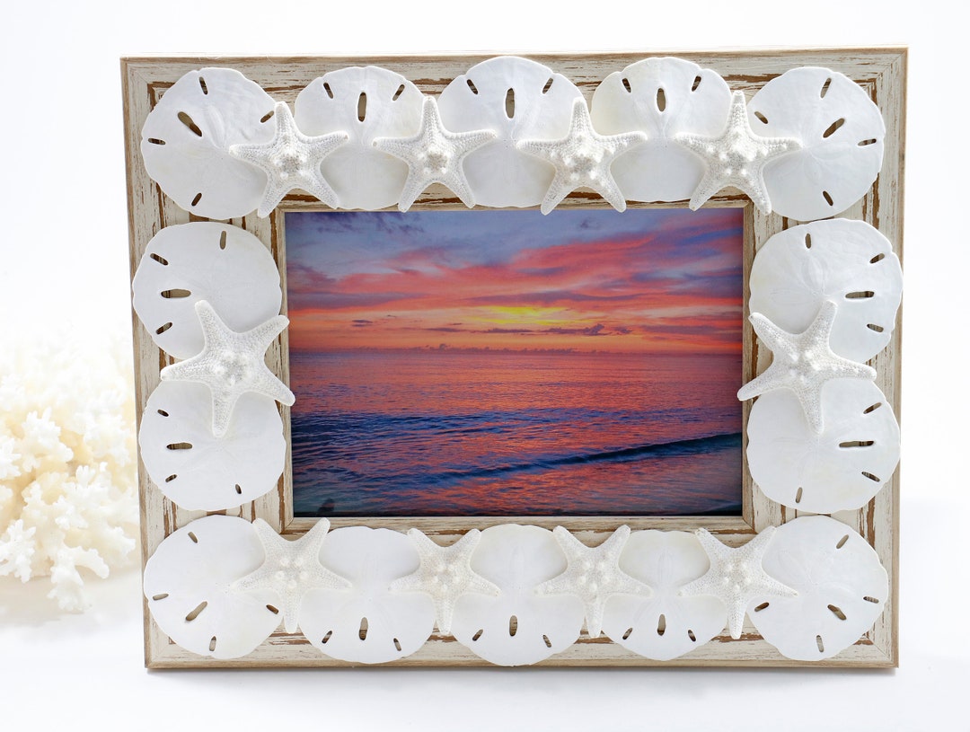 Sand Dollar Photo Frame, Starfish Picture Frame, 5"x7" Beach Frame ...