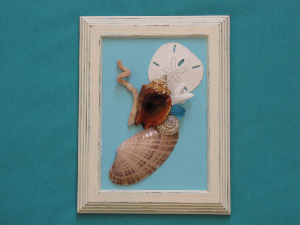 Seashell Wall Decor, Beach Wall Art, Tropical Decor, Shell Wall Hanging ...