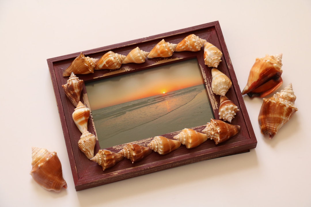 Seashell Photo Frame, Shell Picture Frame, Beach Decor, Beach Frame ...