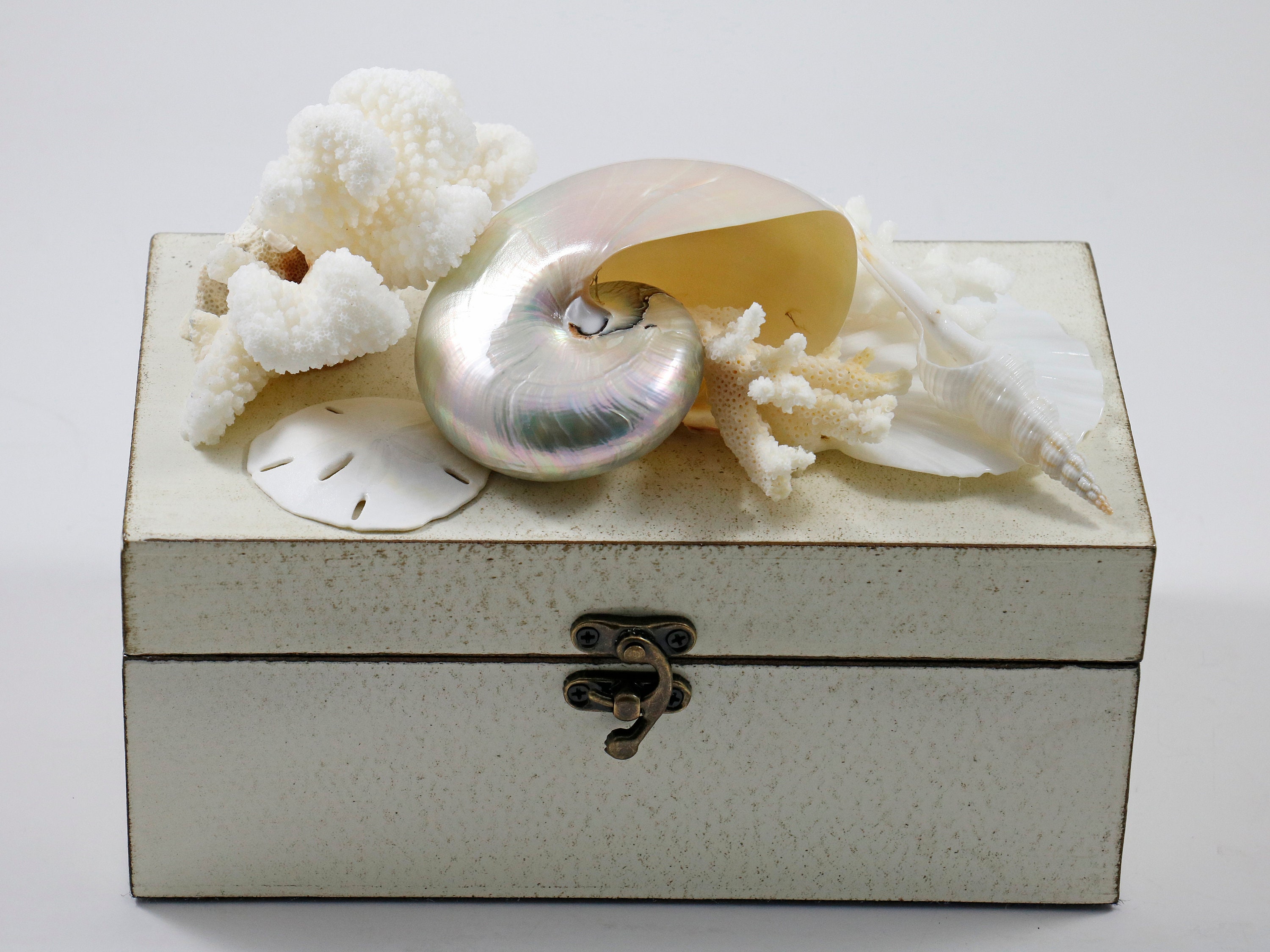 Beach Decor Seashell Box Mermaid Gift Coastal Decor | Etsy