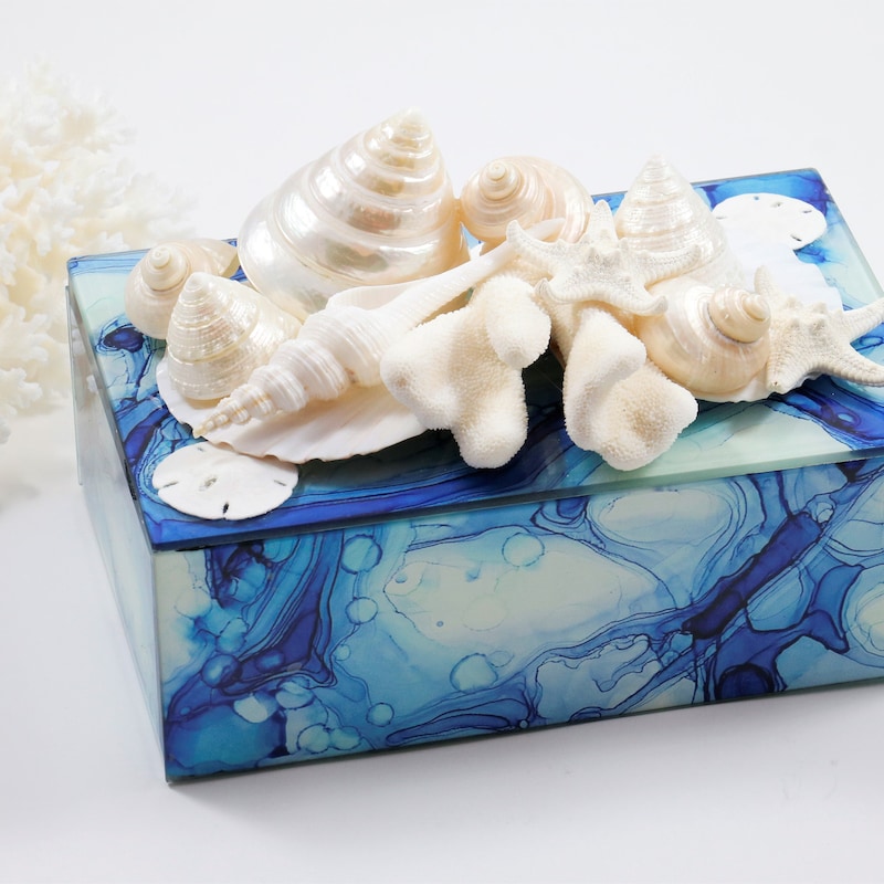 Shell Box - Etsy