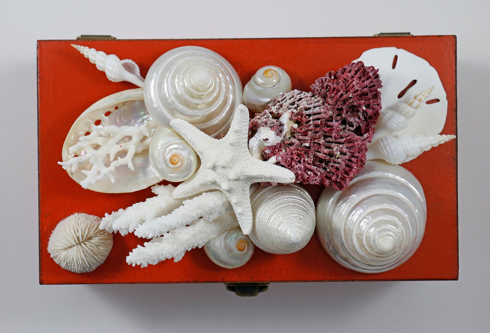 Beach Decor Seashell Box Mermaid Box Coastal Decor - Etsy