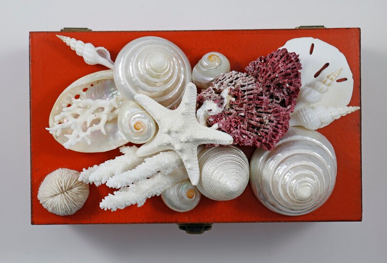 Beach Decor Seashell Box Mermaid Box Coastal Decor - Etsy