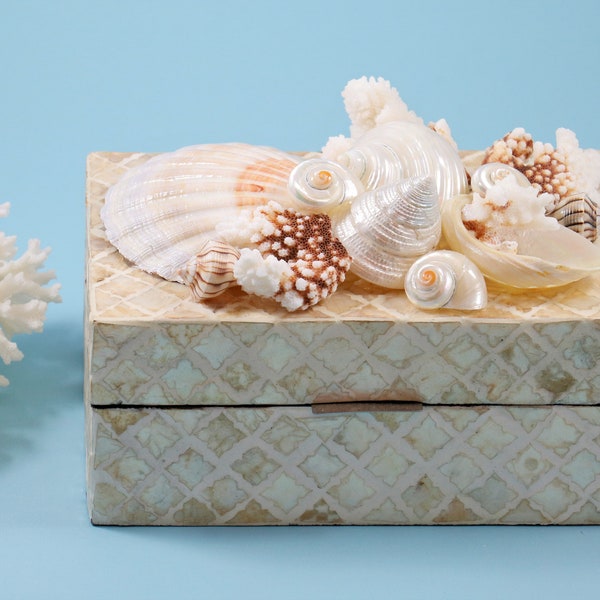 Shell Box - Etsy