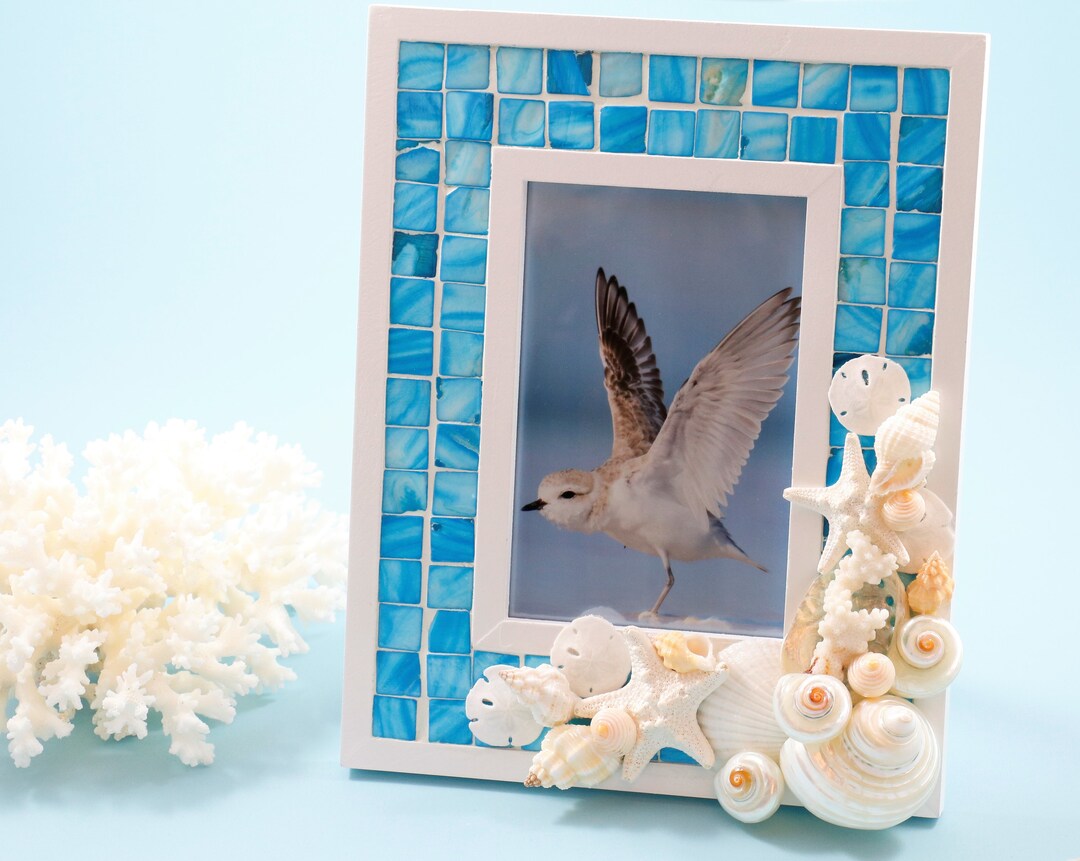 Seashell Photo Frame, Blue Beach Frame, 4"x6" Shell Picture Frame ...