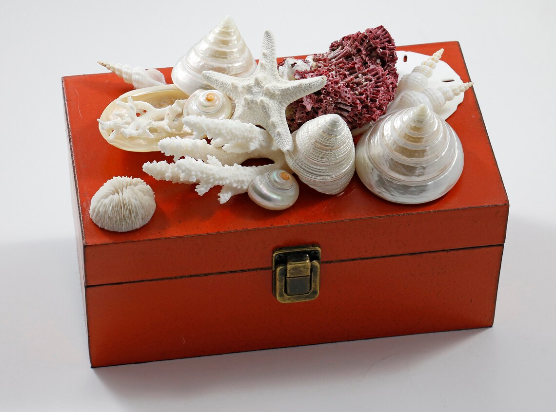 Beach Decor Seashell Box Mermaid Box Coastal Decor - Etsy