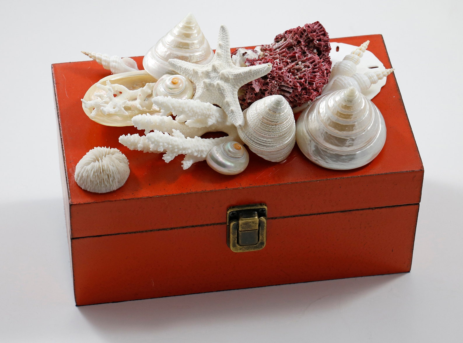 Beach Decor Seashell Box Mermaid Box Coastal Decor - Etsy