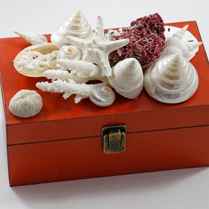 Beach Decor, Seashell Box, Mermaid Box, Coastal Decor, Tropical Decor ...